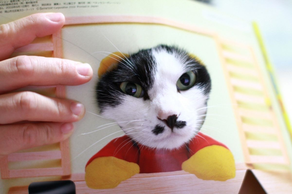 はな次郎！ | GANREF