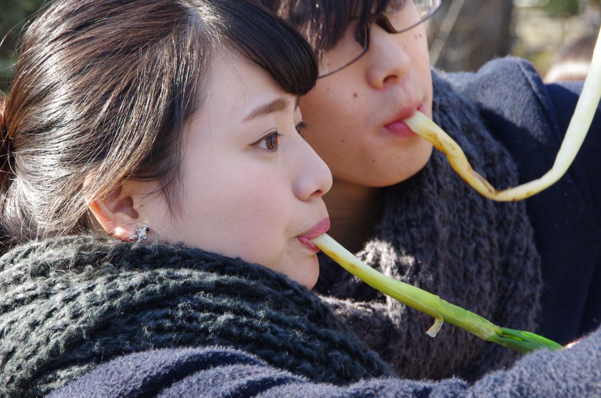 深谷ねぎまつり お気に入り不要にです。 | GANREF