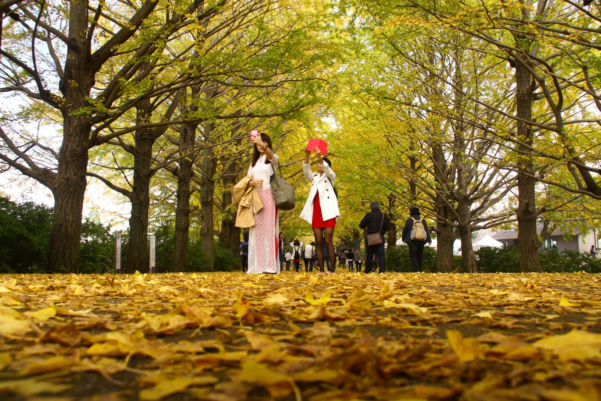 エキゾチック JAPAN | GANREF