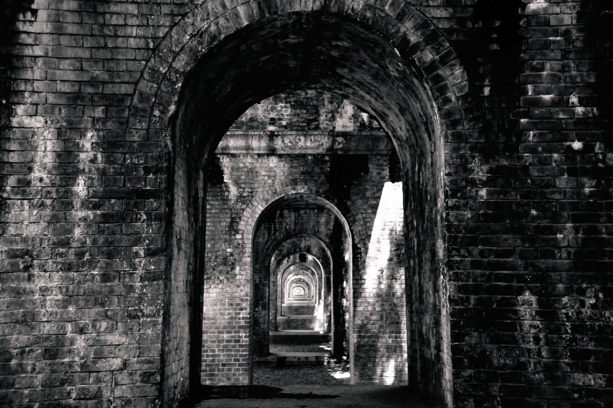 Infinite Loop | GANREF