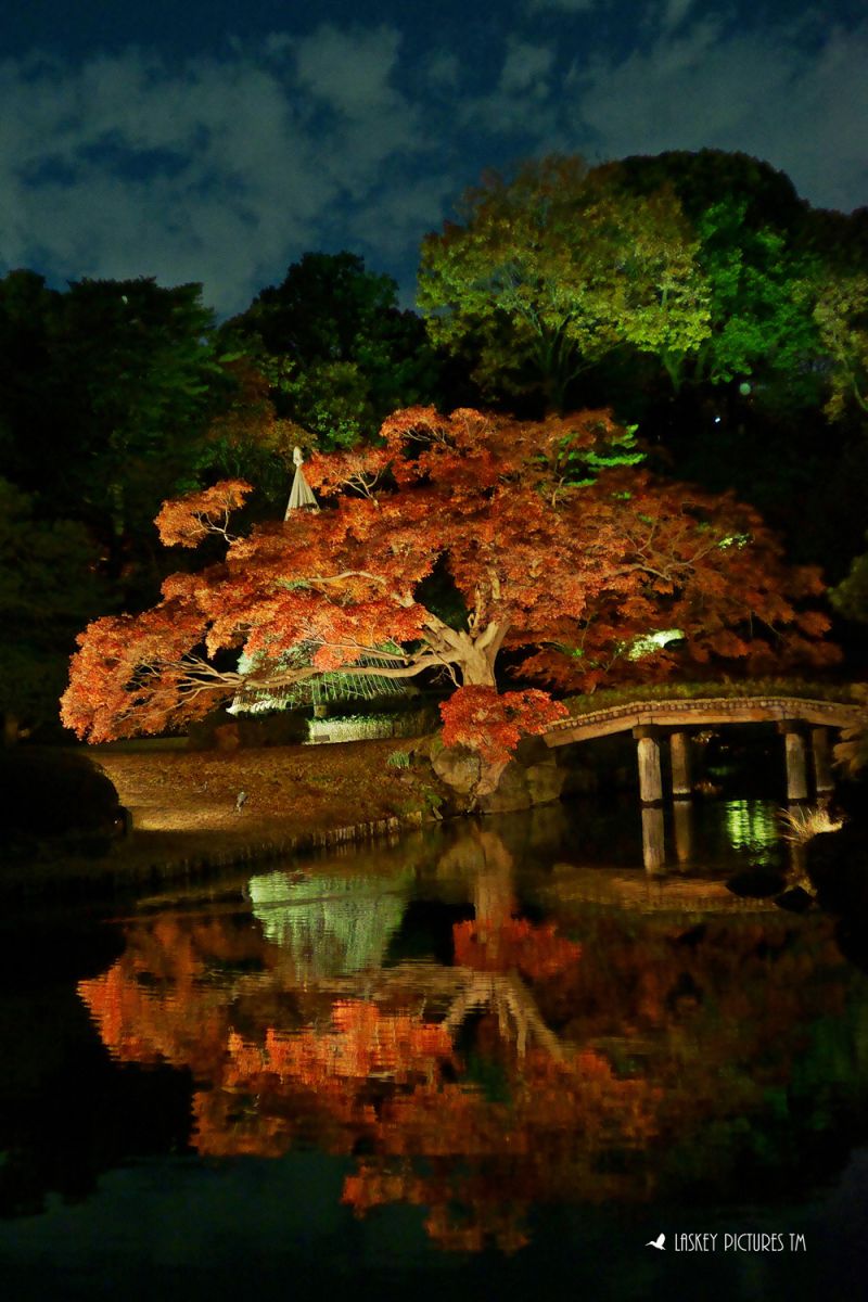 Leitz Summicron 50mm f2.0 | GANREF