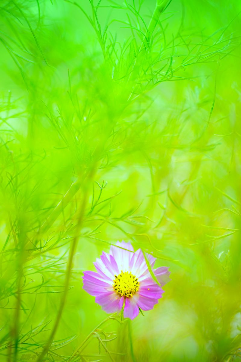 「QUIETLY」 | GANREF