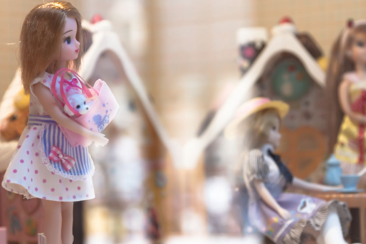 Window Girls | GANREF