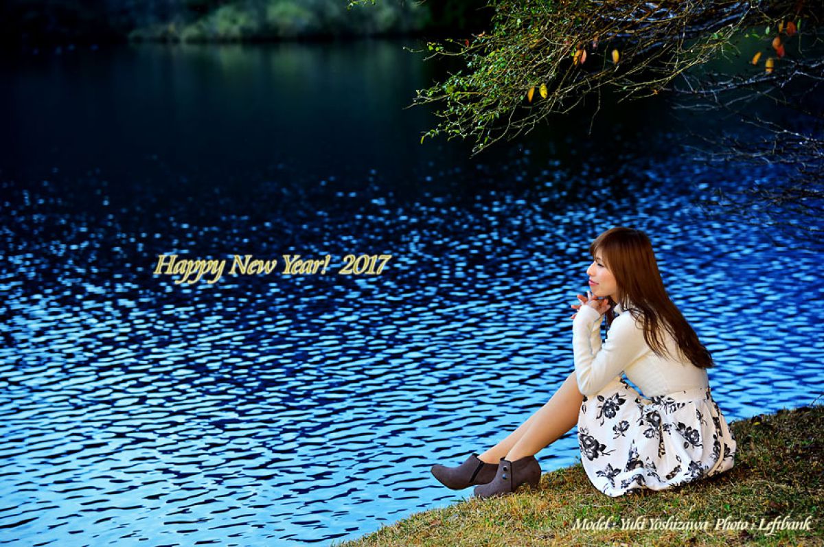 Happy New Year! 2017 | GANREF