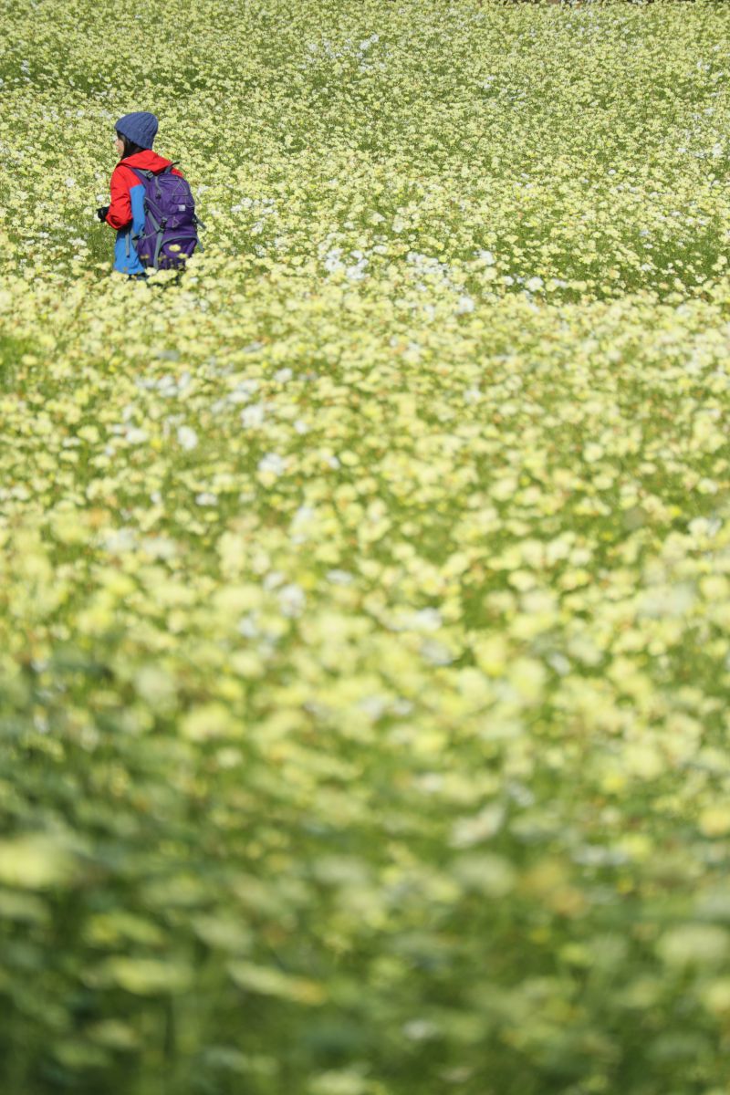 EOS M5サンプル：カメラ女子 | GANREF