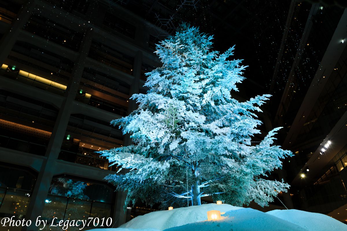 Tokyo Snow Tree | GANREF