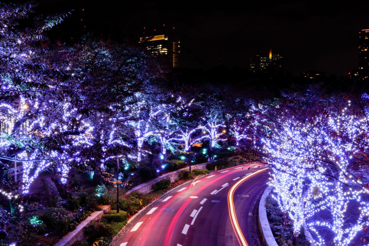 EOS M5サンプル：イルミネーションロード | GANREF