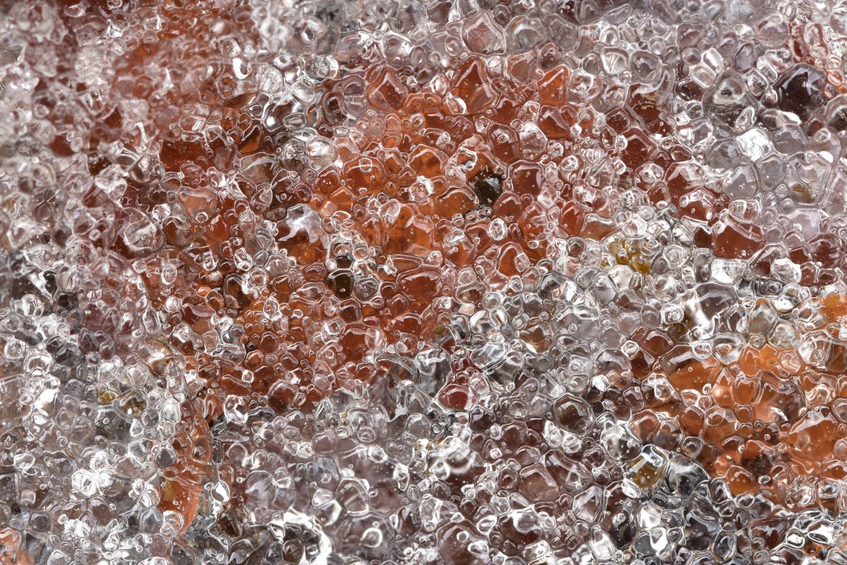 氷結落葉013 | GANREF