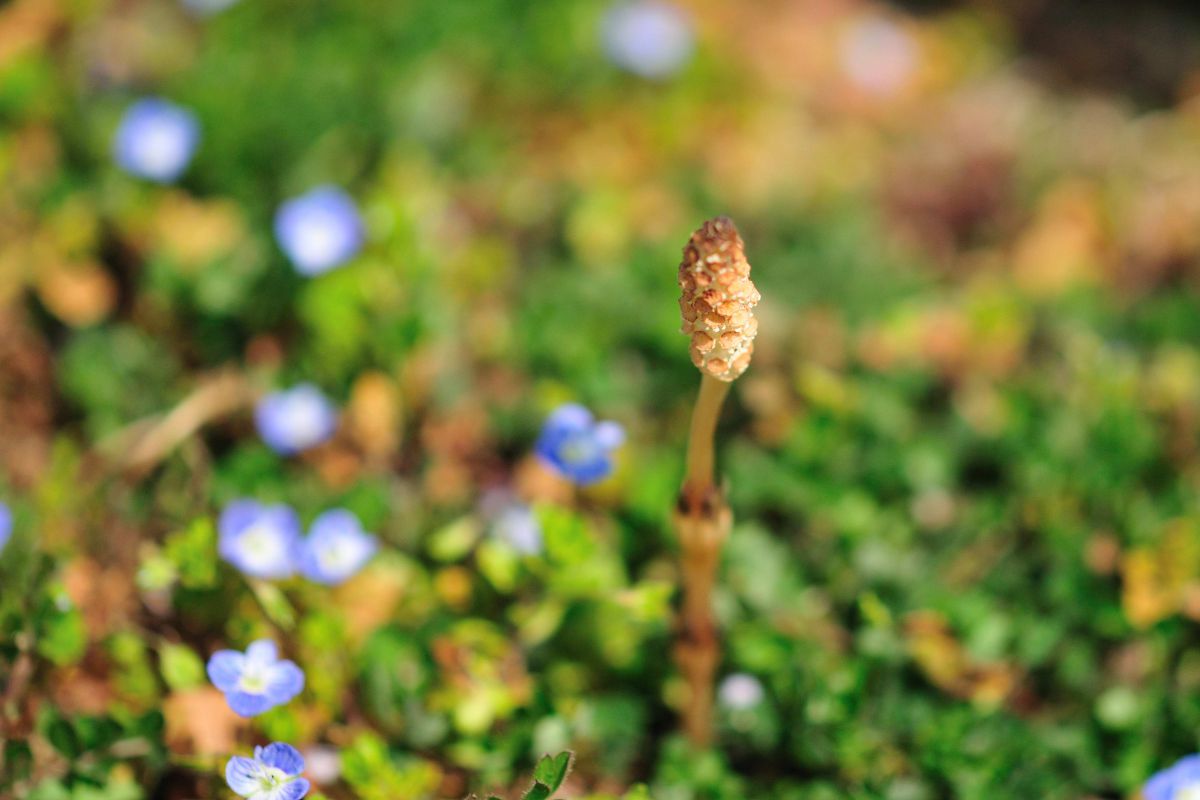 DSC_3979_006.jpg | GANREF