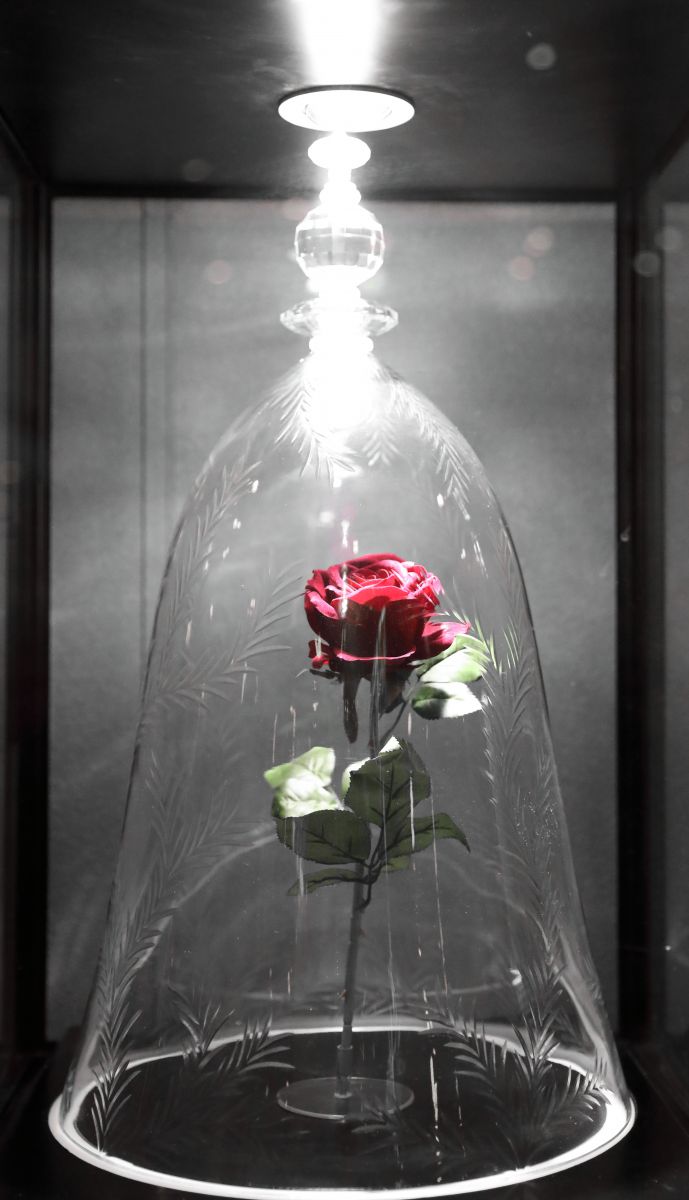 Beauty and the Beast | GANREF