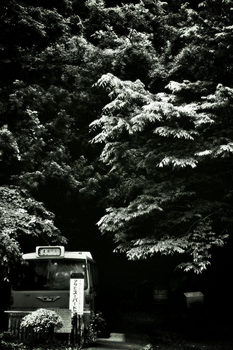 Bus that stops | GANREF