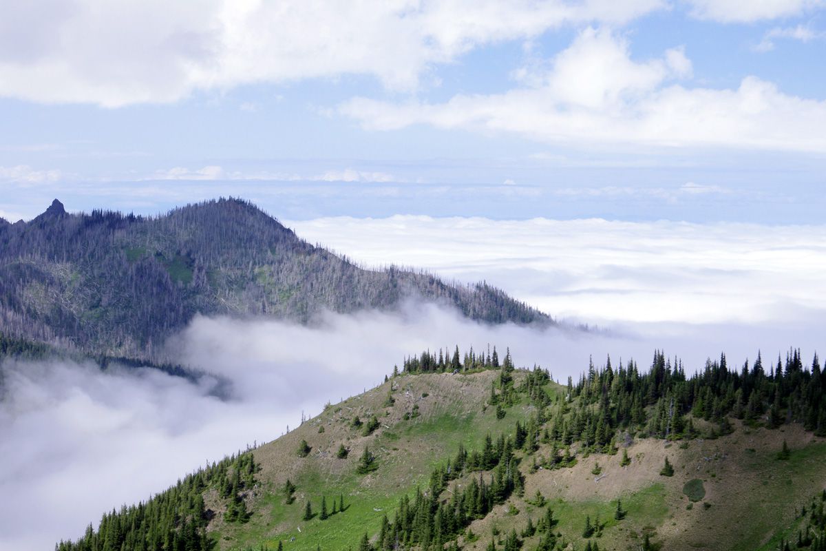 Hurricane Ridge '12 -3- | GANREF