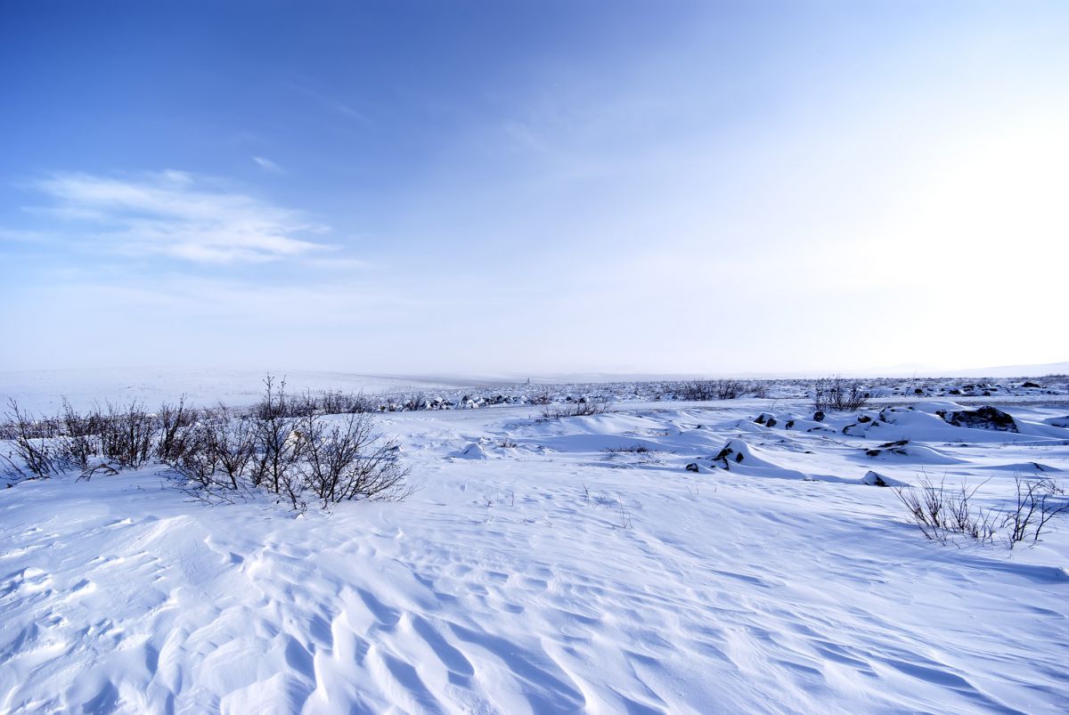 The Snow Desert. | GANREF