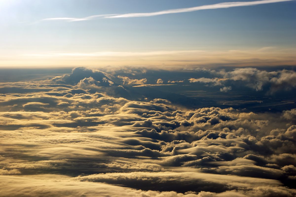 "The Great One". | GANREF