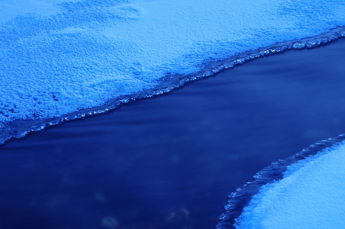 The Melodious Passage. | GANREF