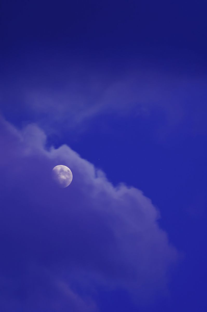 An Eerie Moonlight. | GANREF