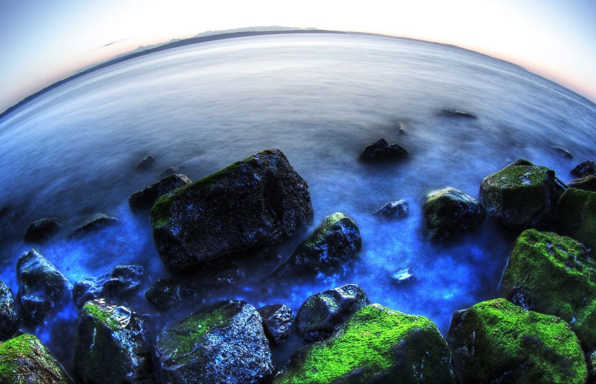 Mother Earth. | GANREF