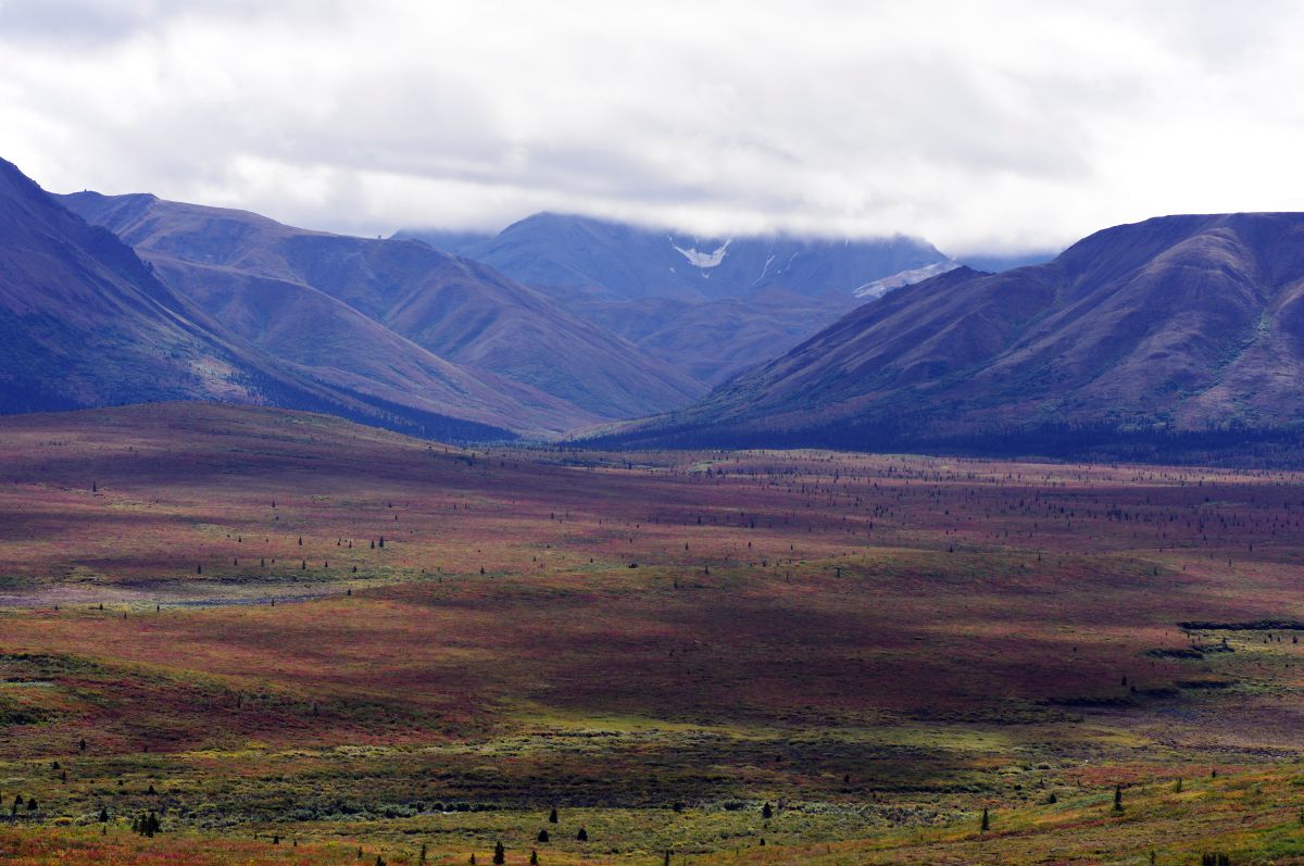 Red Tundra Field. | GANREF