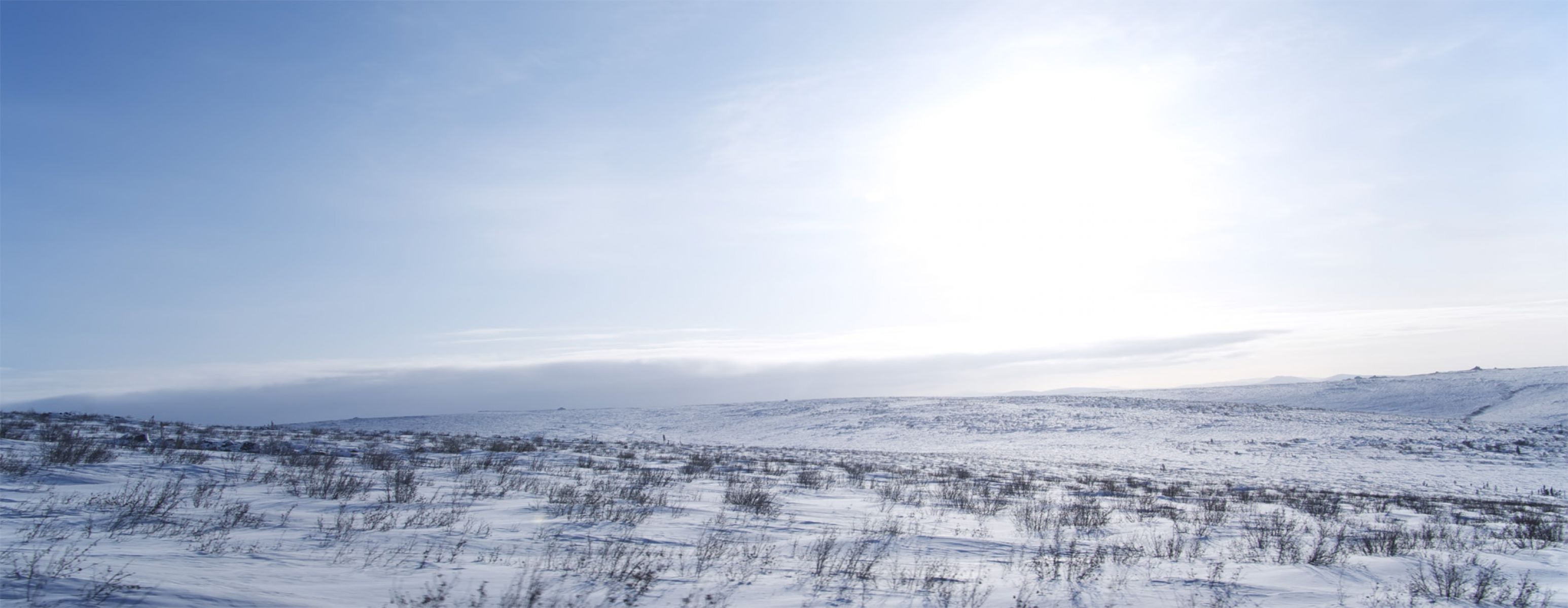 Vast of Frozen World. | GANREF