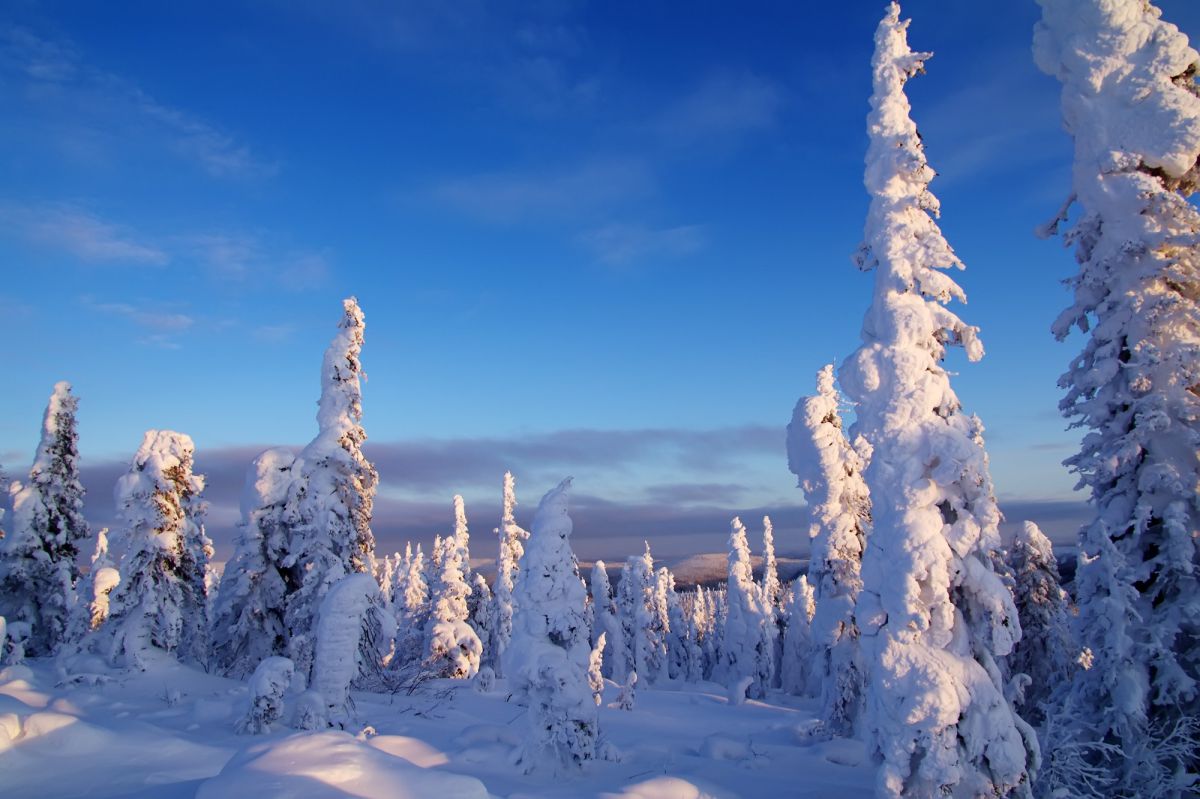 Frozen World -2- | GANREF