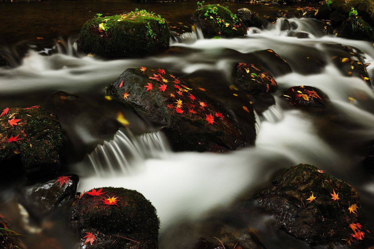 秋の流れ | GANREF