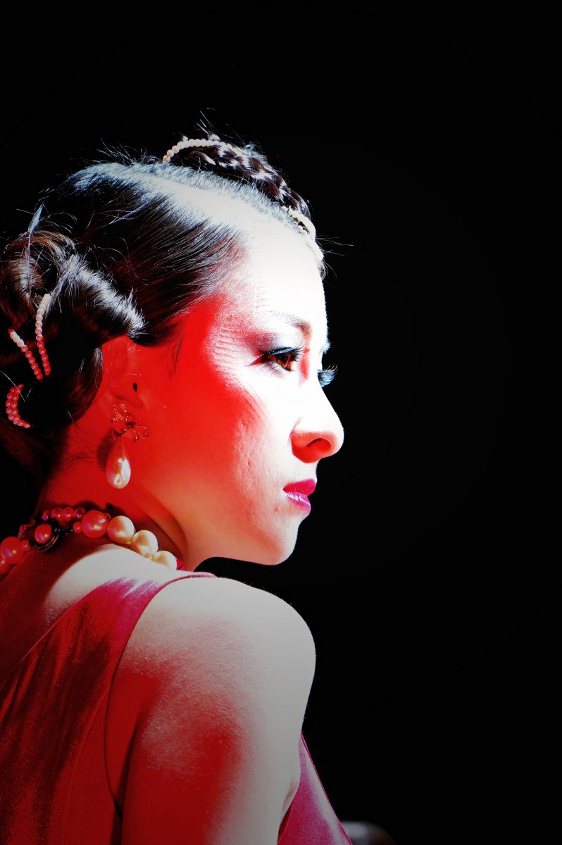 Le Rouge et le Noir | GANREF