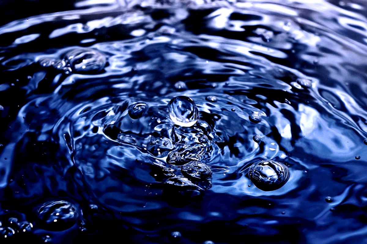 NEXT GENERATION | GANREF