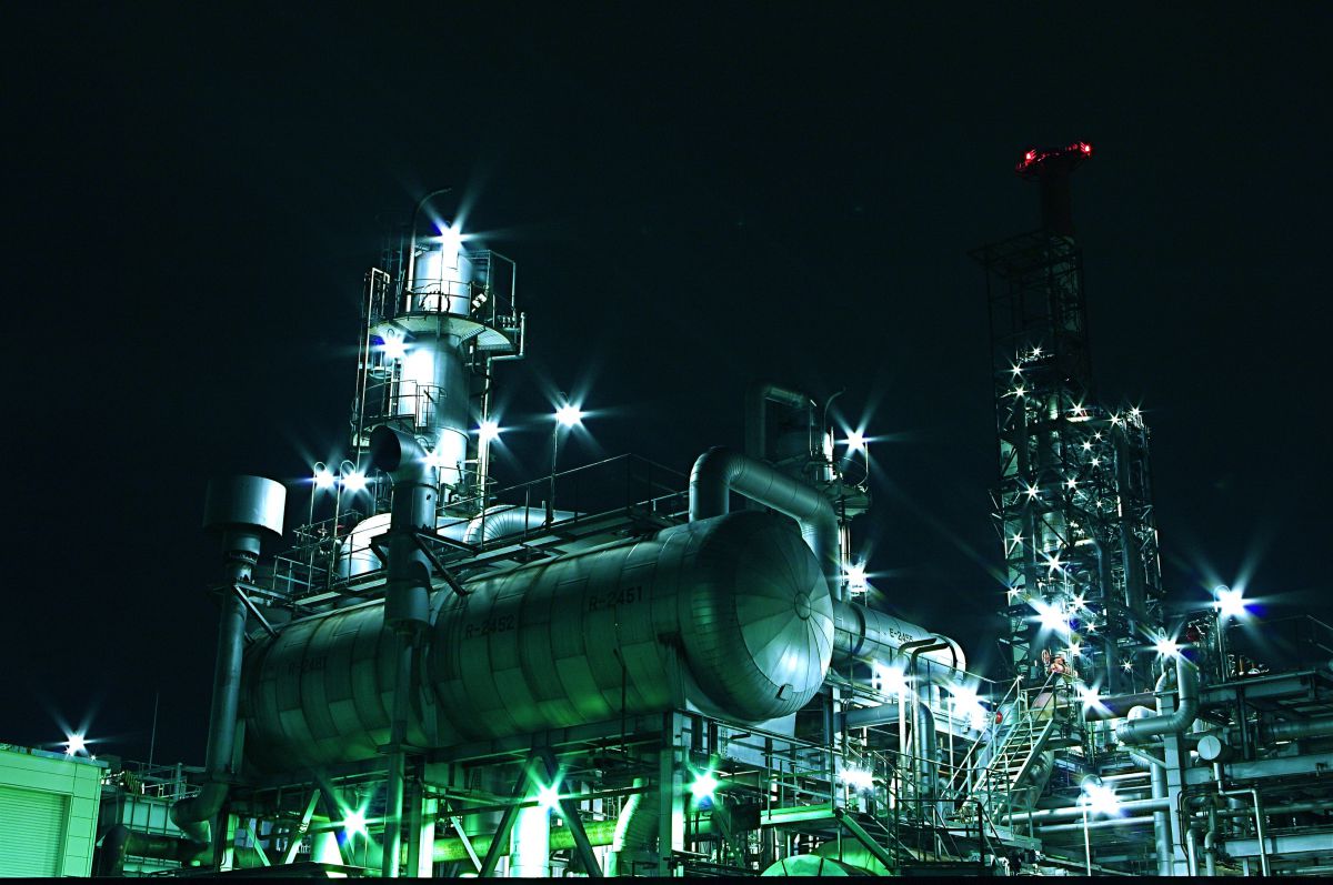 Metallic Jungle | GANREF