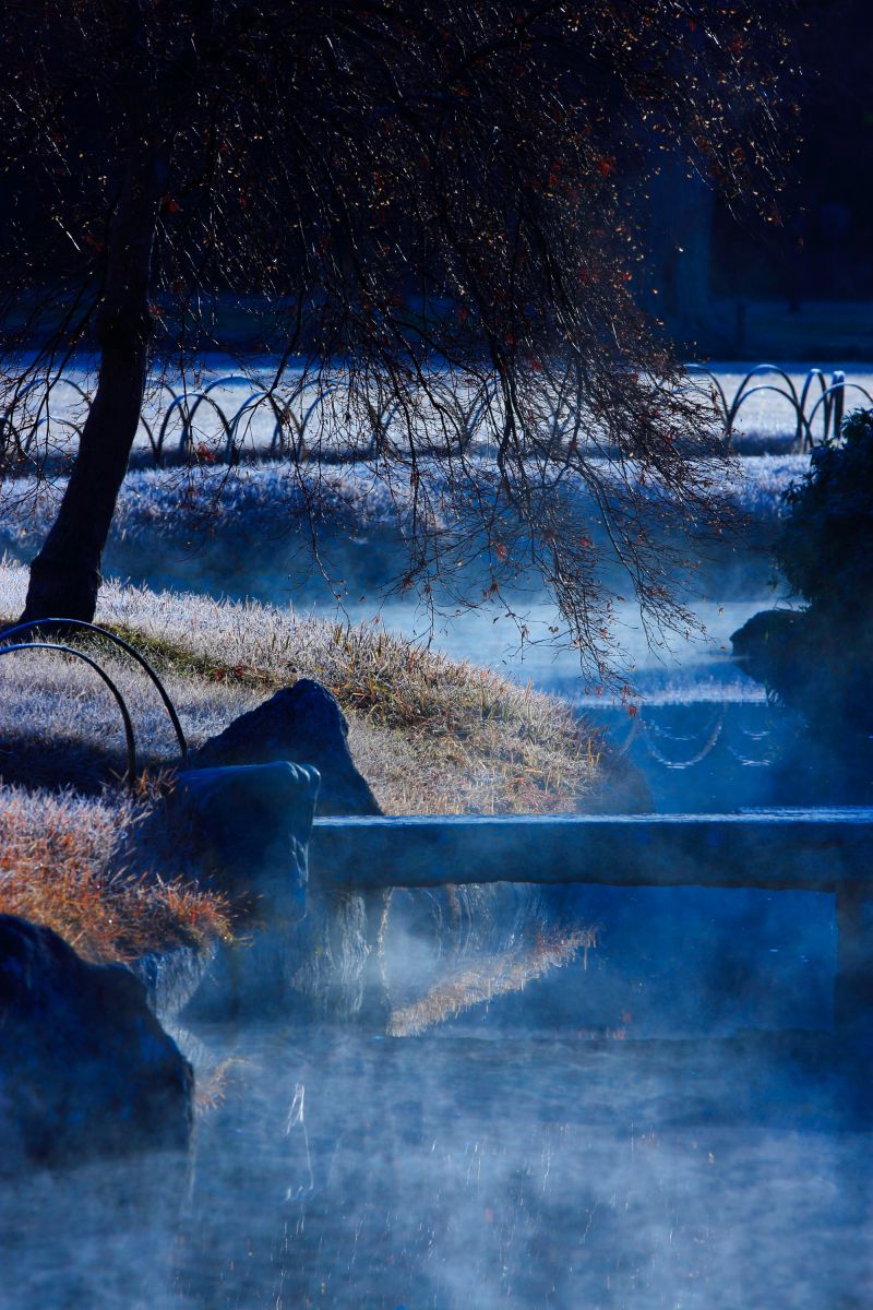 朝靄の中 | GANREF