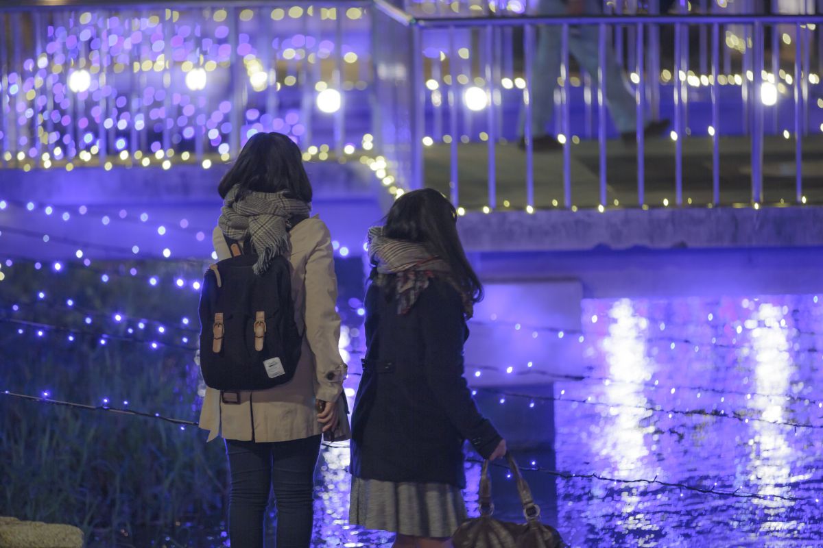 Christmas Night | GANREF