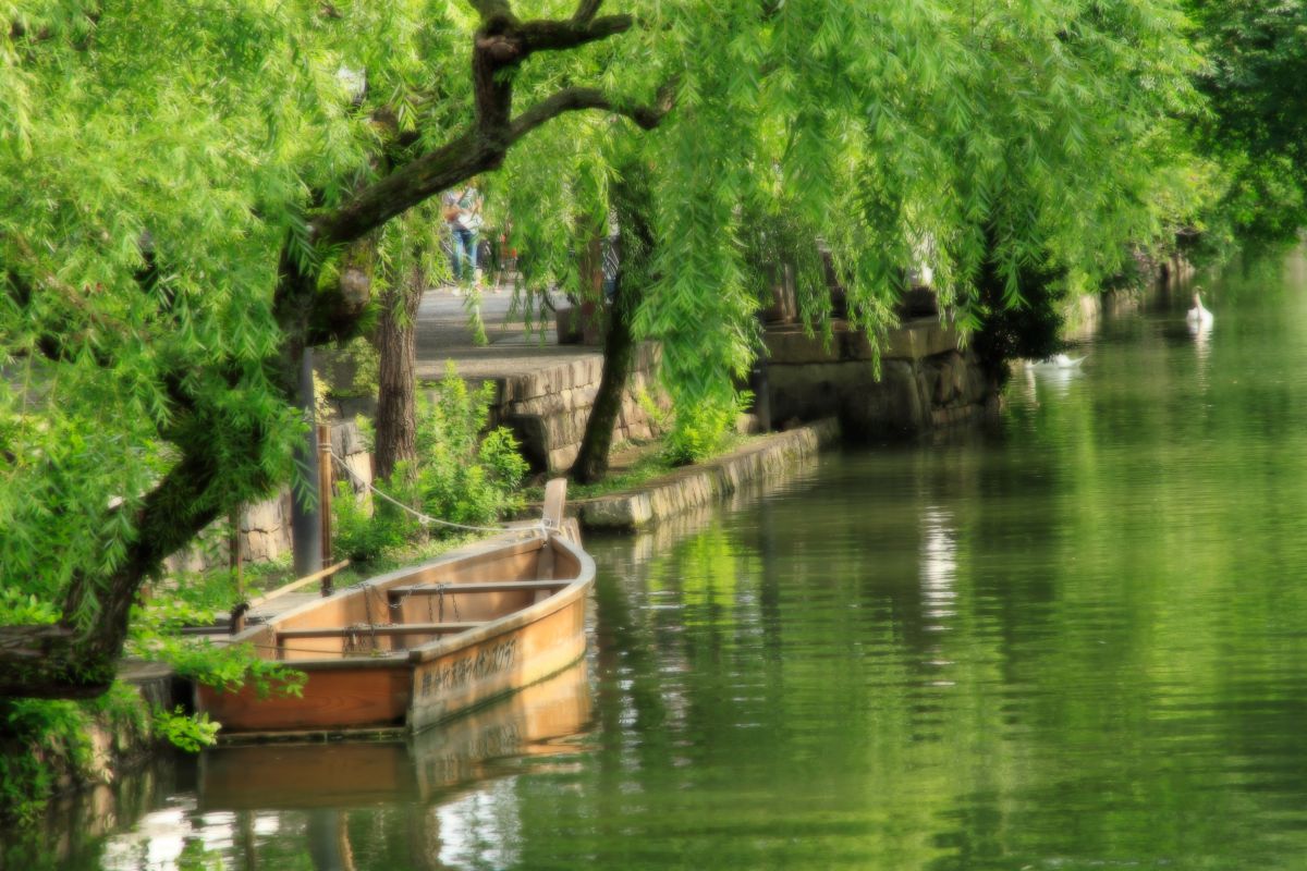 Green River | GANREF