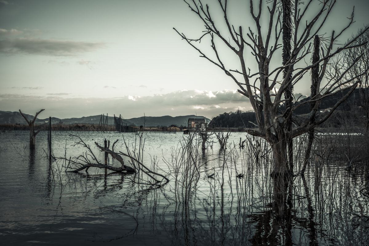 A lost world | GANREF