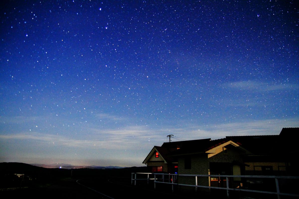 Night Harvest | GANREF