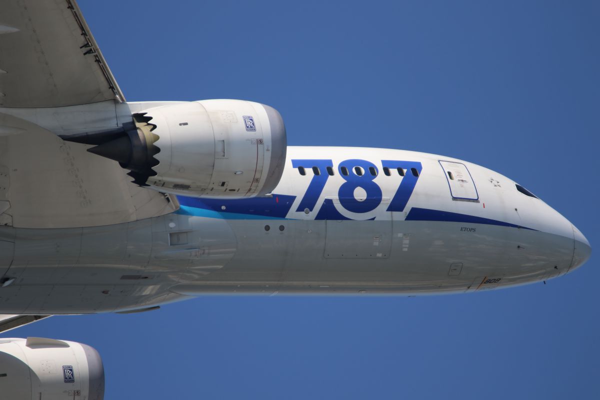 787 | GANREF