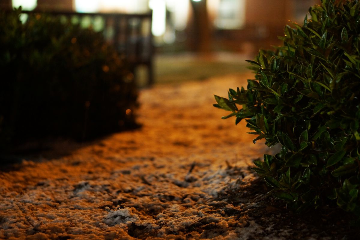 はつゆき | GANREF