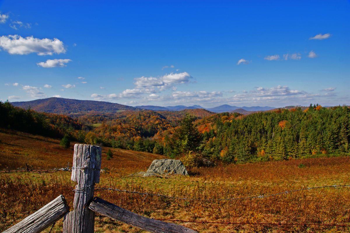 Blue Ridge Parkway -Fall- | GANREF