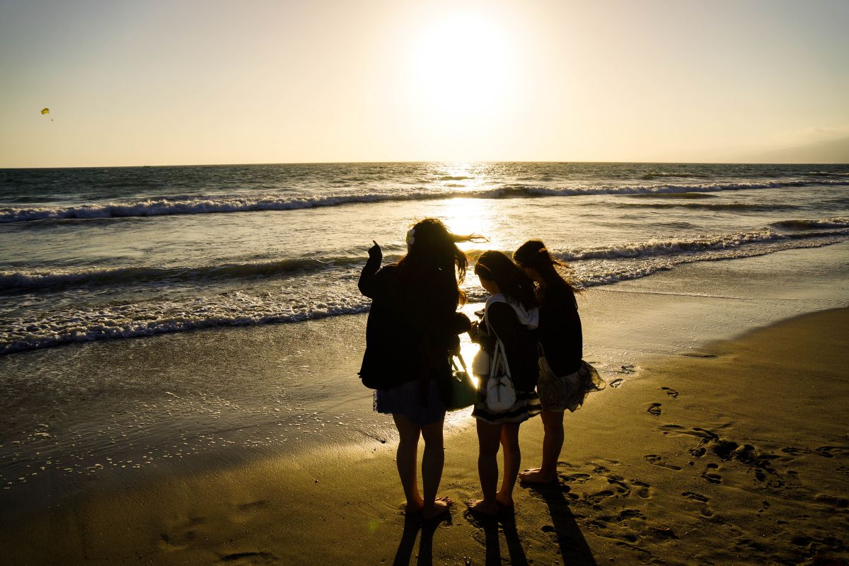 あれ、なぁ～に？ | GANREF