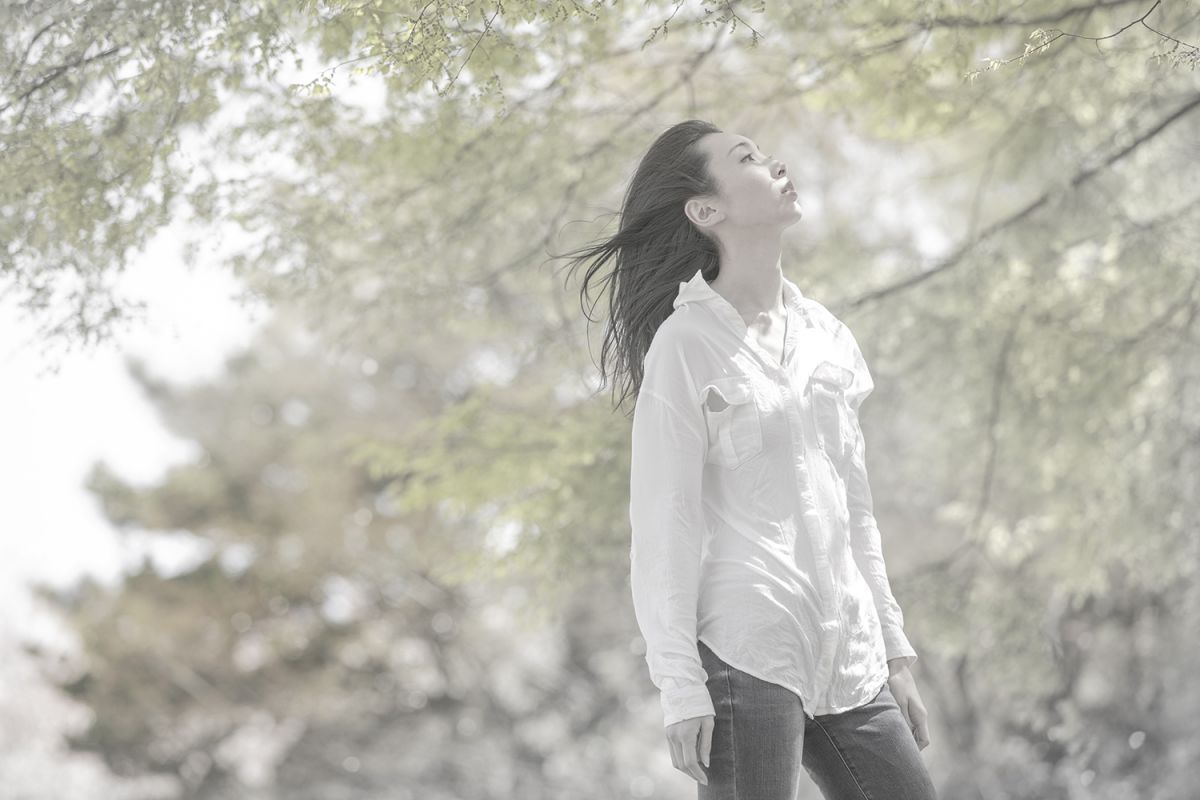 Spring Wind | GANREF