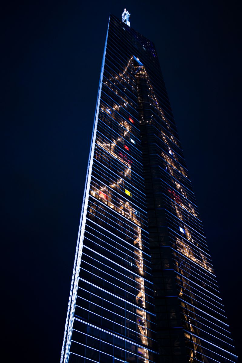 BIG LIGHT TREE | GANREF