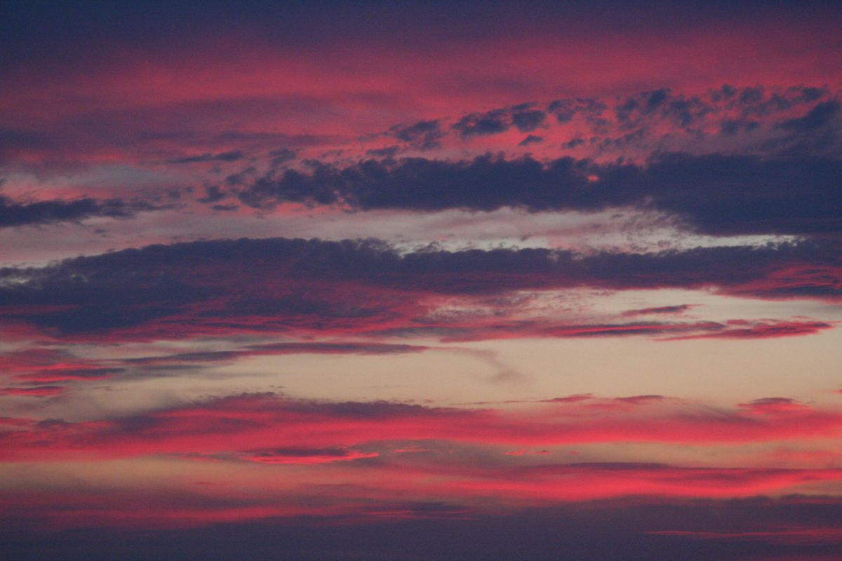 Pink Stripe | GANREF