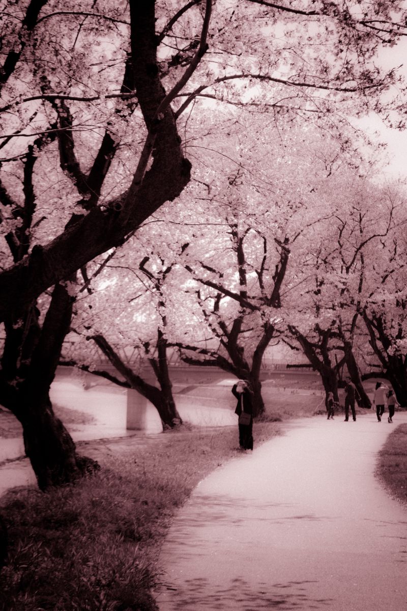 A shooting man | GANREF