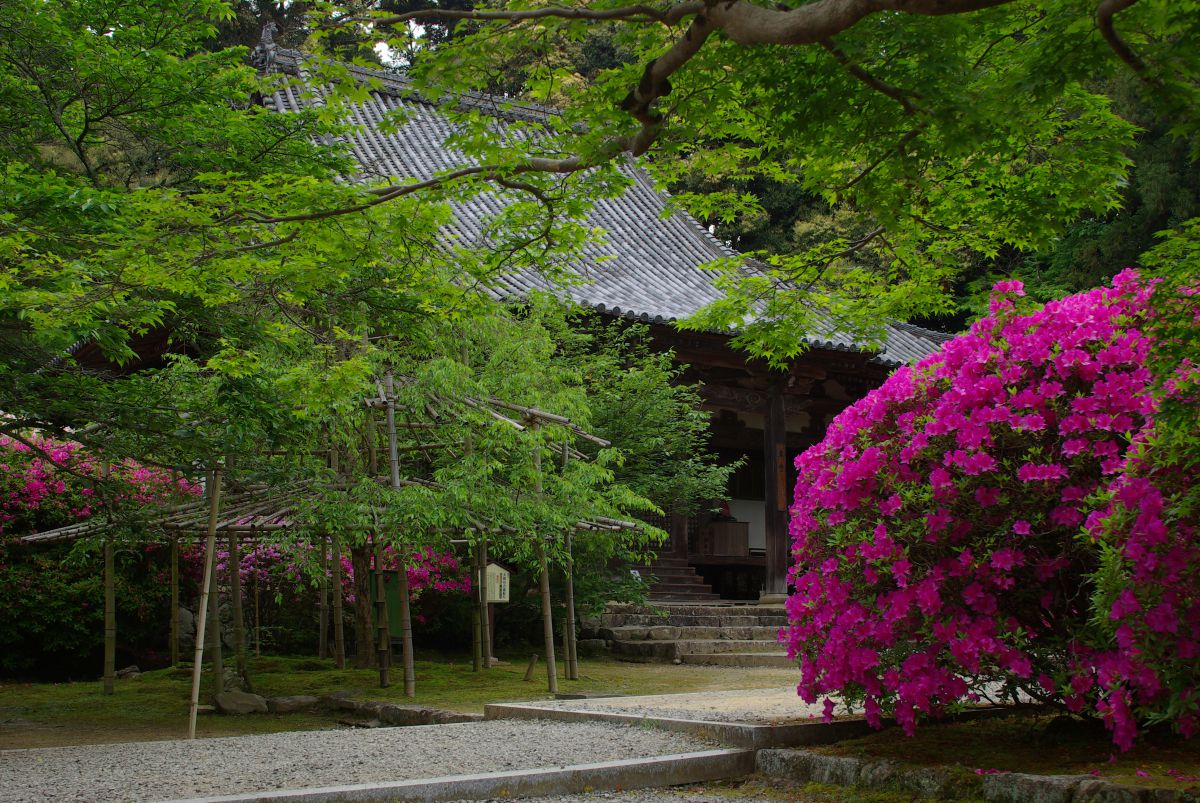 chogaku-ji temple | GANREF