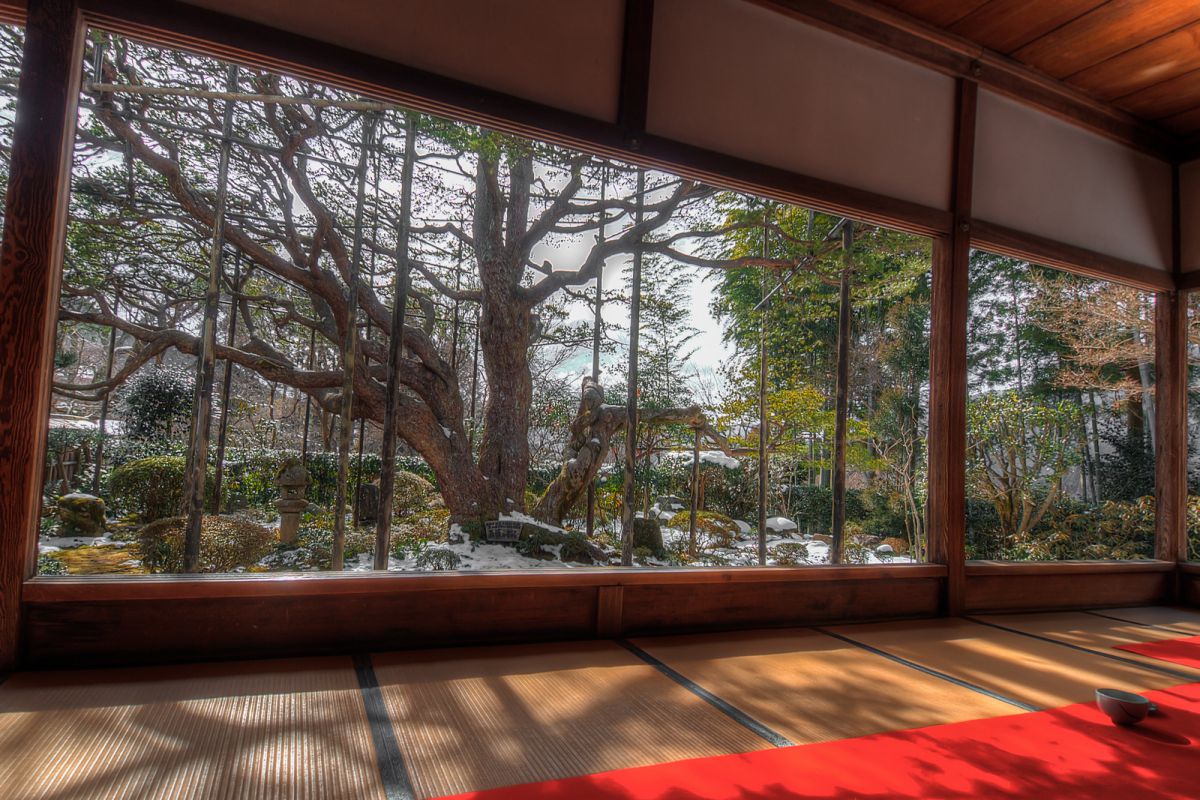 Frame garden | GANREF