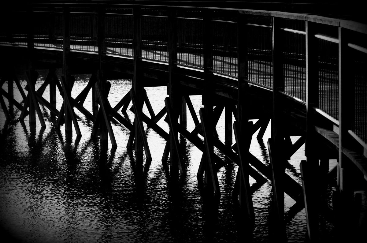 Walking Bridge | GANREF