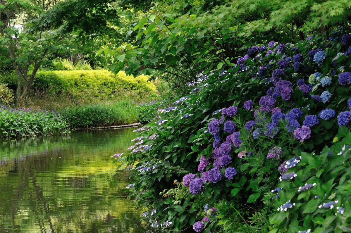 La La La ！ | GANREF