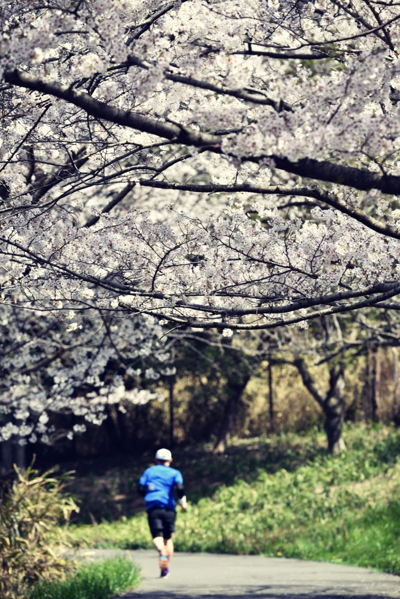 RUN WITH SPRING | GANREF