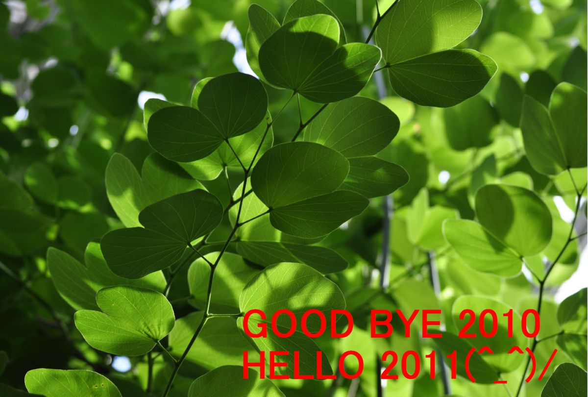 GOOD BYE 2010 | GANREF