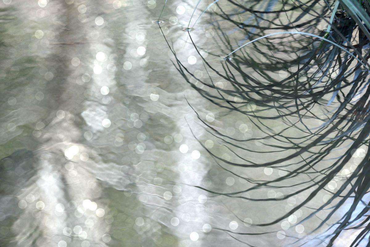 Light & Shadows | GANREF