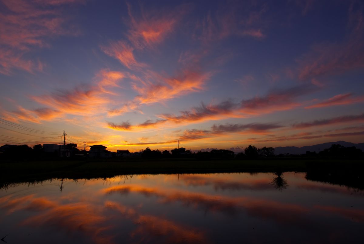 DRAMATIC SUNSET | GANREF