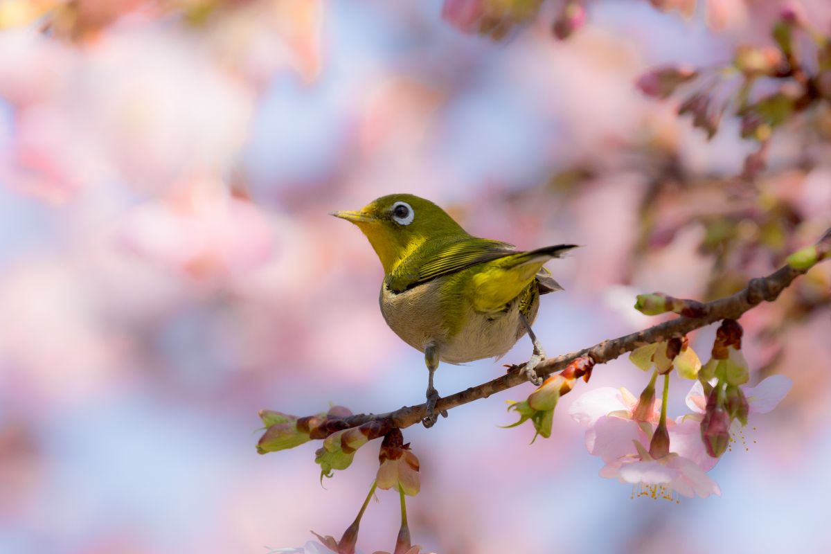 振り返った君は・・ | GANREF